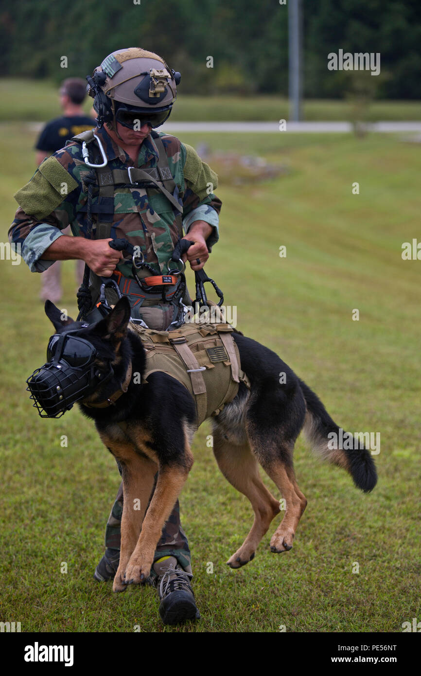 167 regiment hi-res stock photography and images - Alamy