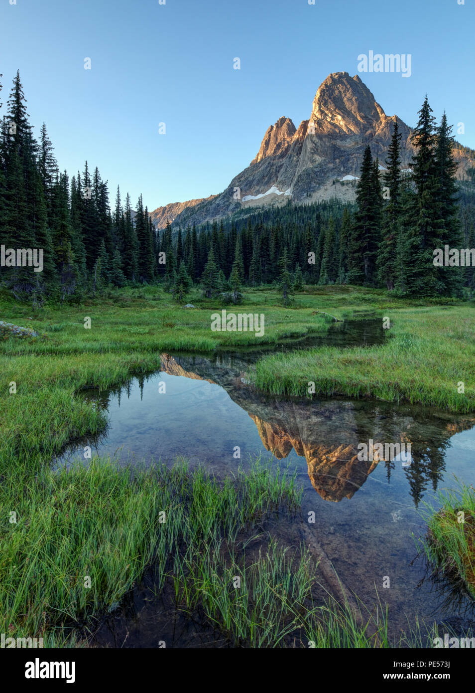 Liberty Bell Mountain reflected in pond in grassy meadow, Washington ...
