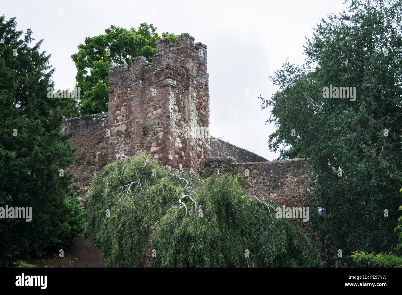 Exeter city wall hi-res stock photography and images - Alamy