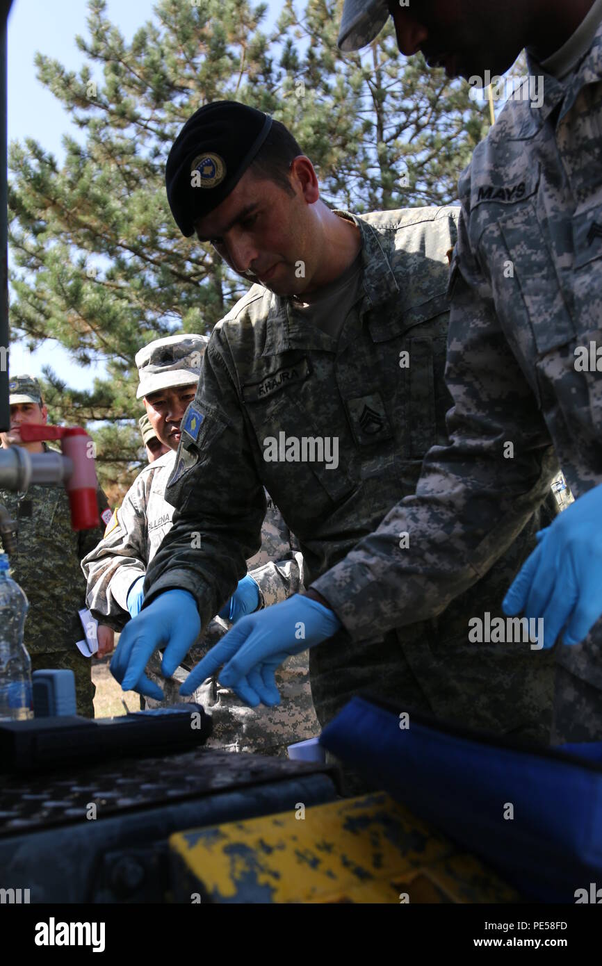 345th Combat Support Hospital High Resolution Stock Photography and ...