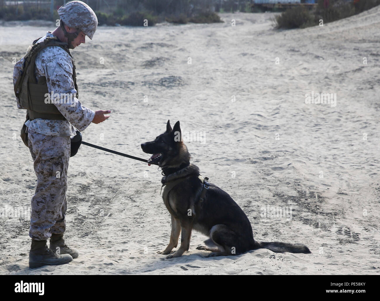 Gerber company hi-res stock photography and images - Alamy