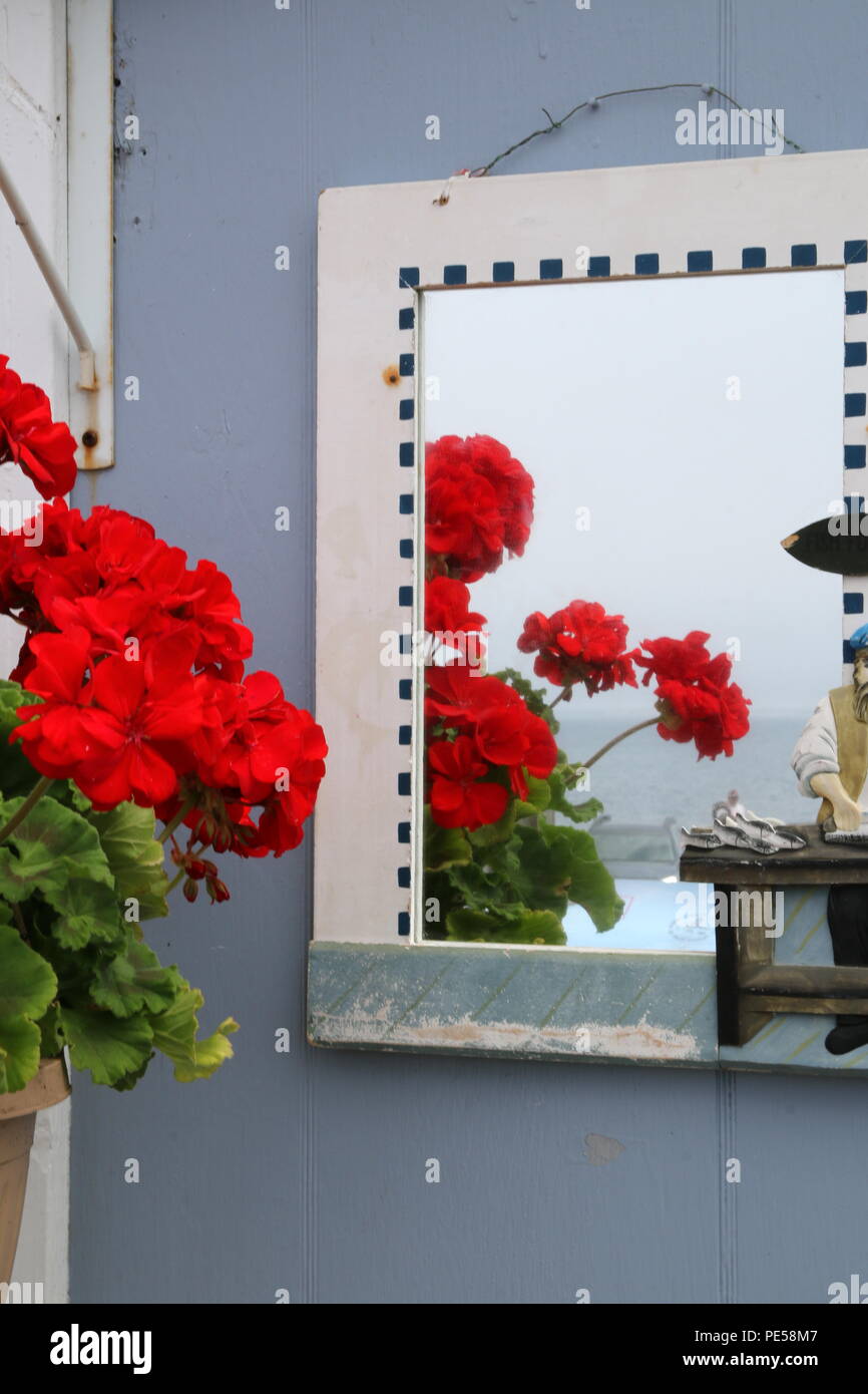 The flowers are reflected in the mirror Stock Photo - Alamy