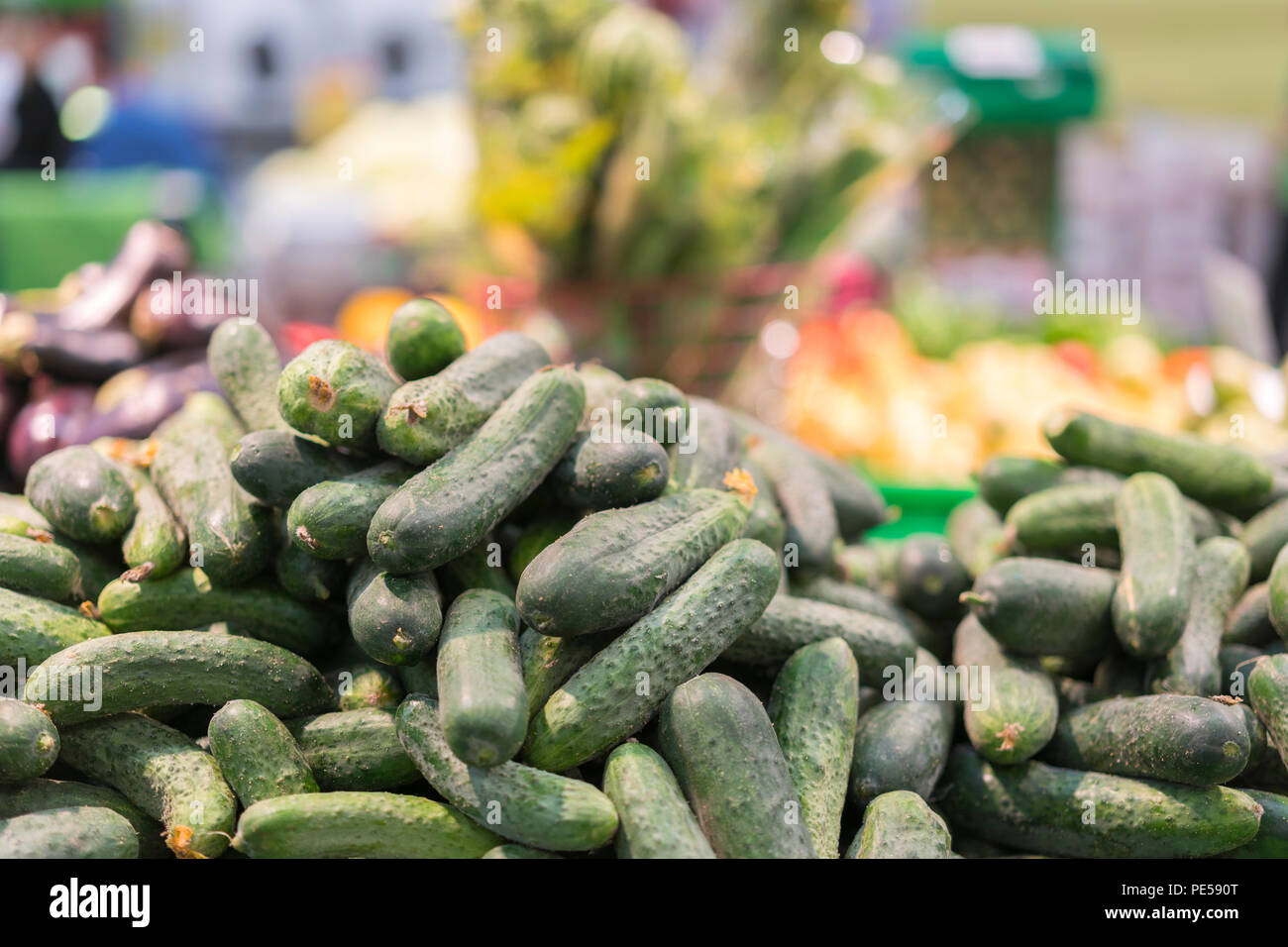 Cucumbers in supermarket. Fresh cucumber lying in boxes. Top view. Mock ...
