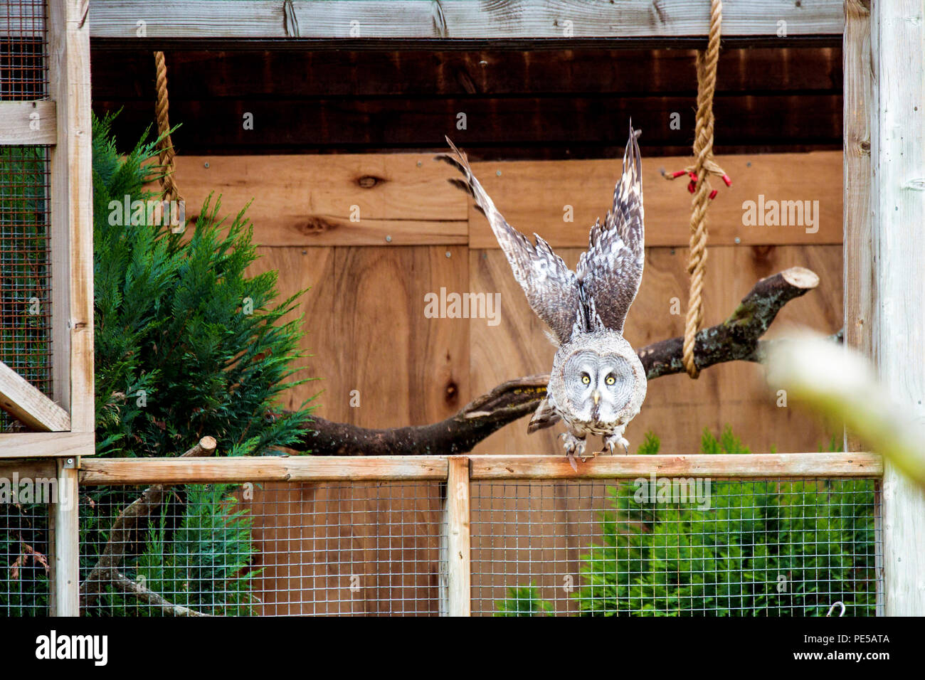 Herman park zoo hi-res stock photography and images - Alamy