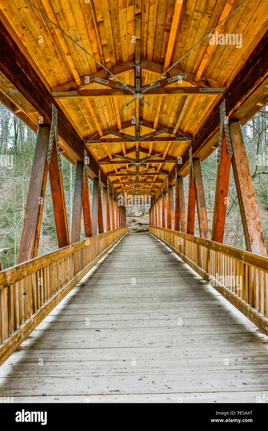An old covered wood bridge spanning a gorge in the forest Stock Photo ...