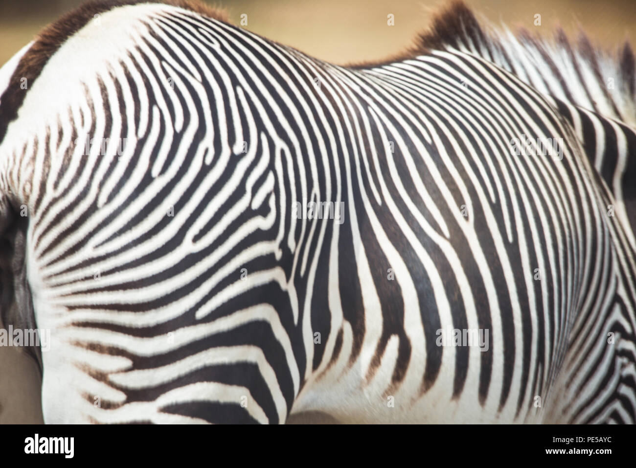 Skin side view hi-res stock photography and images - Alamy