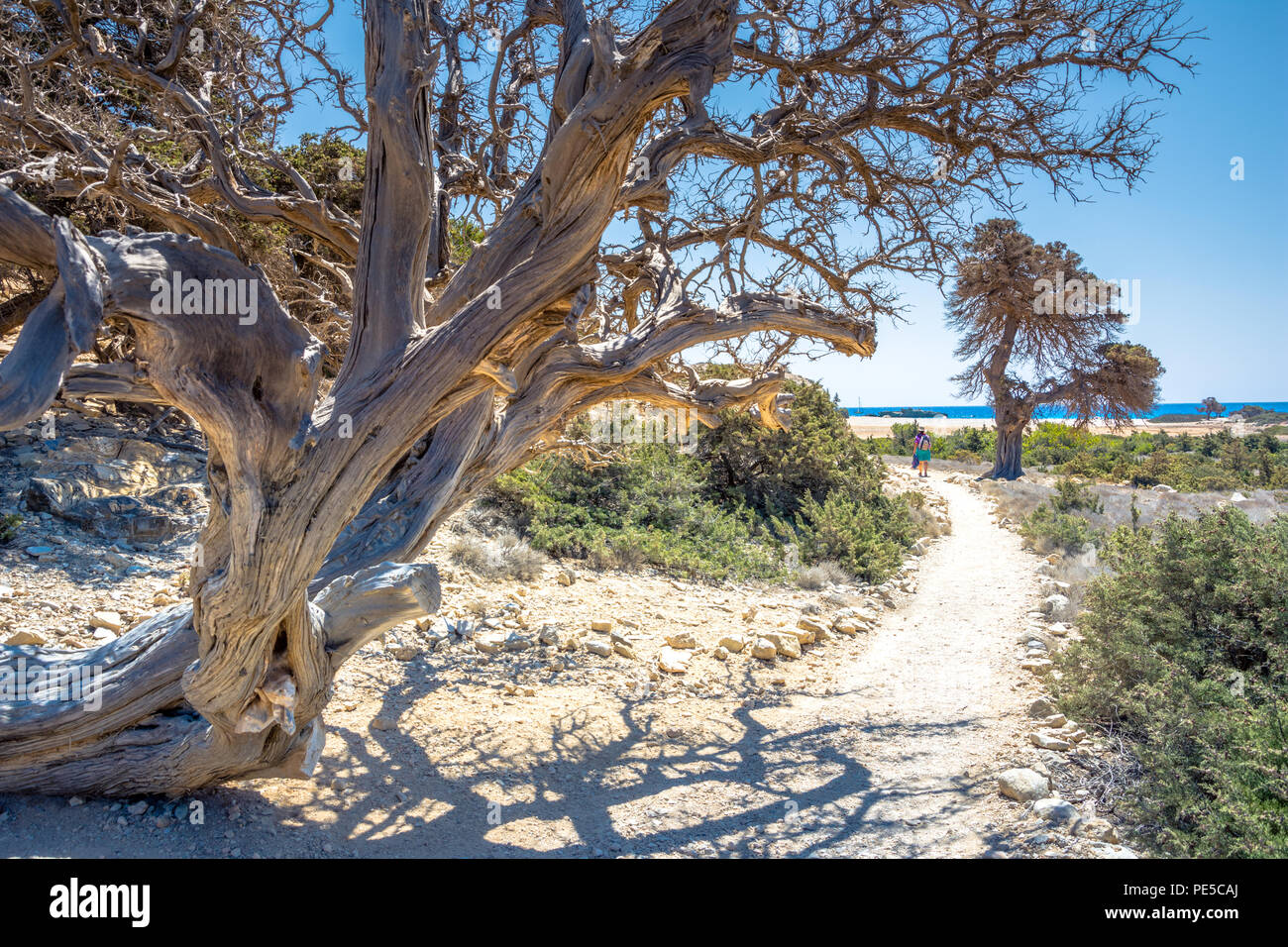 Gavdos chair hi-res stock photography and images - Alamy