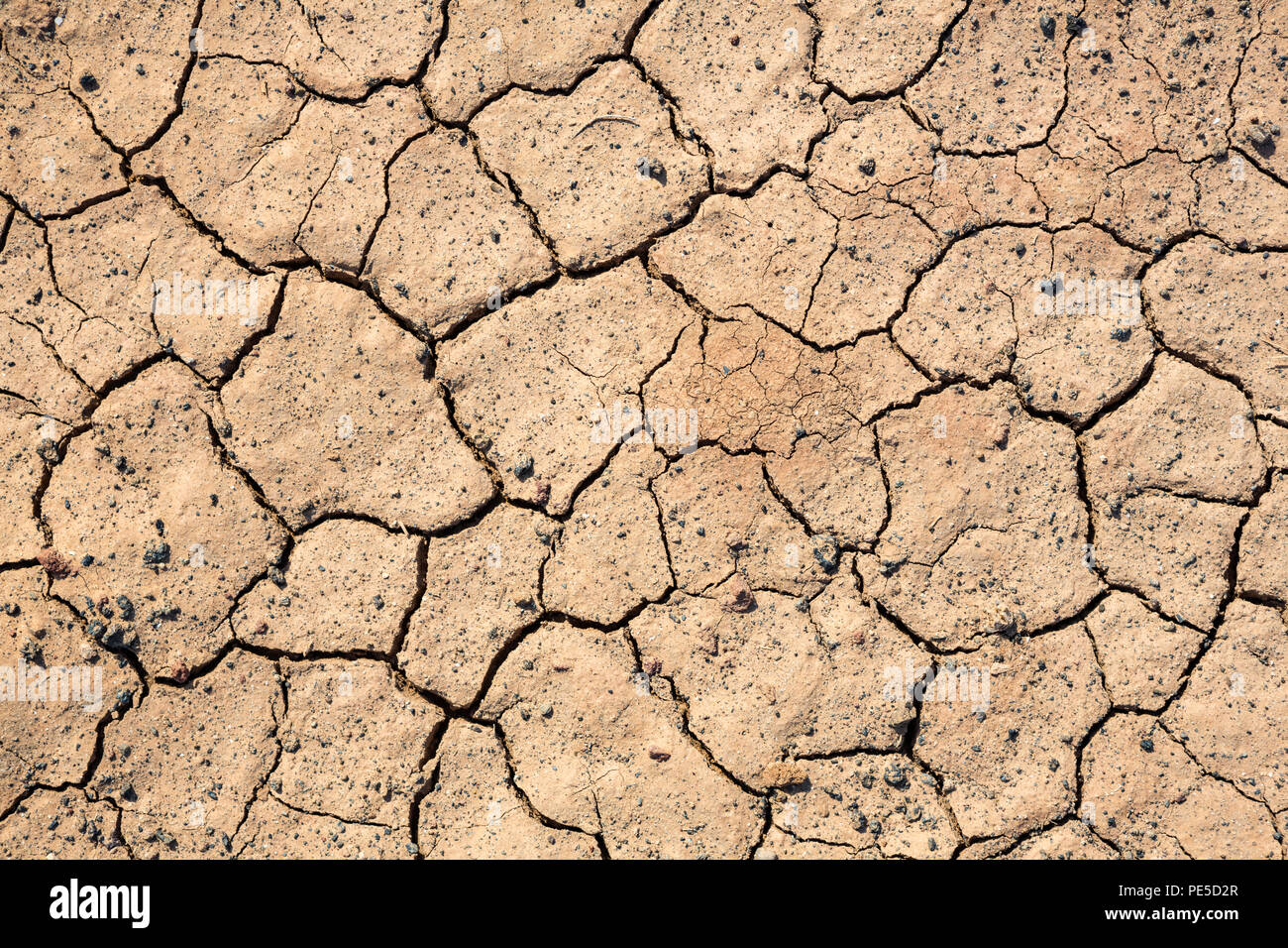 Summer barren cracked land hi-res stock photography and images - Alamy