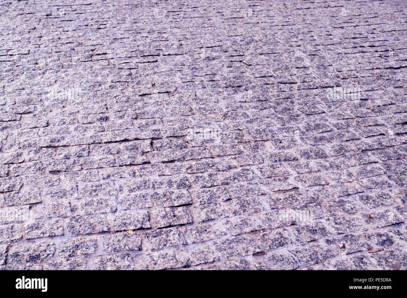 weathered stone paved road with perspective. background, texture Stock ...