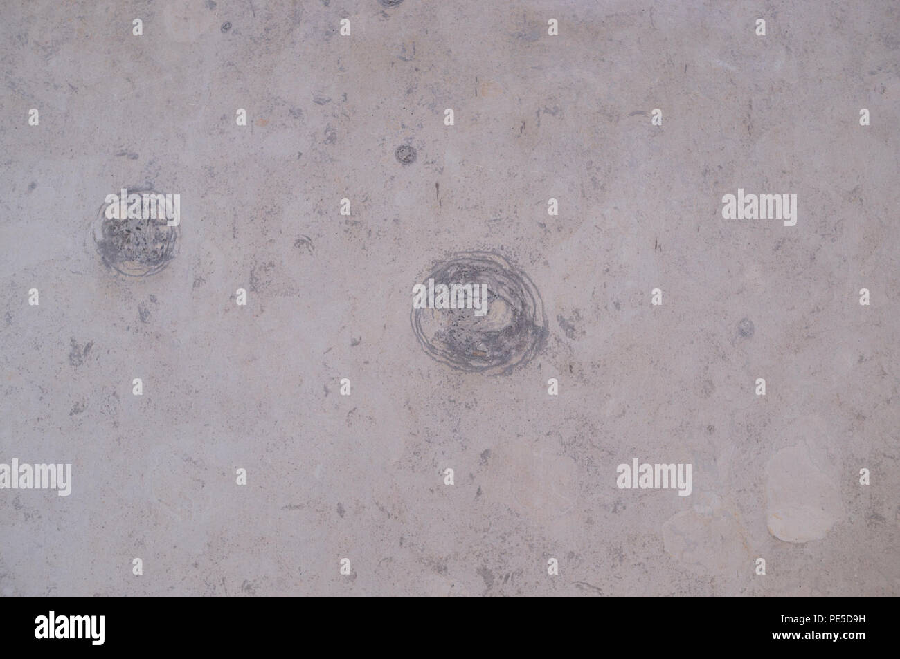 pale marble texture with gray circles. background, decoration Stock ...