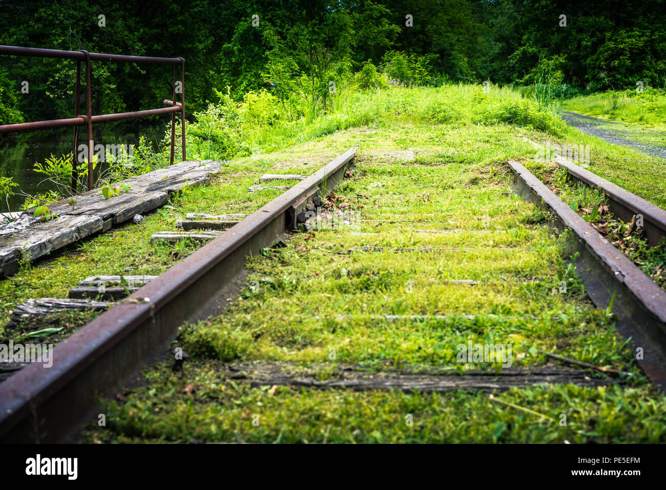 Overgrown, rotten and past their prime leading nowhere. Train tracks ...