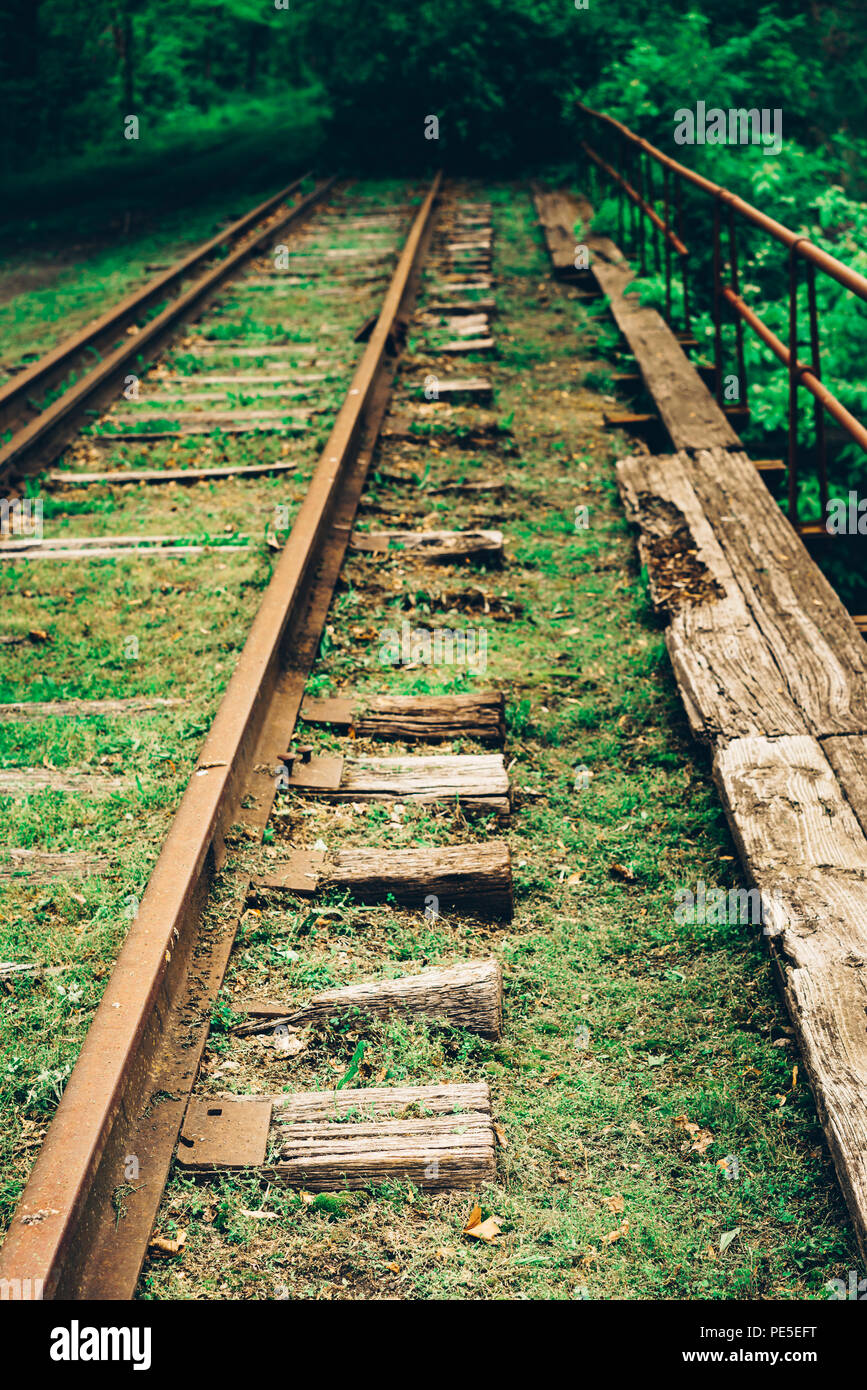 Overgrown, rotten and past their prime leading nowhere. Train tracks ...