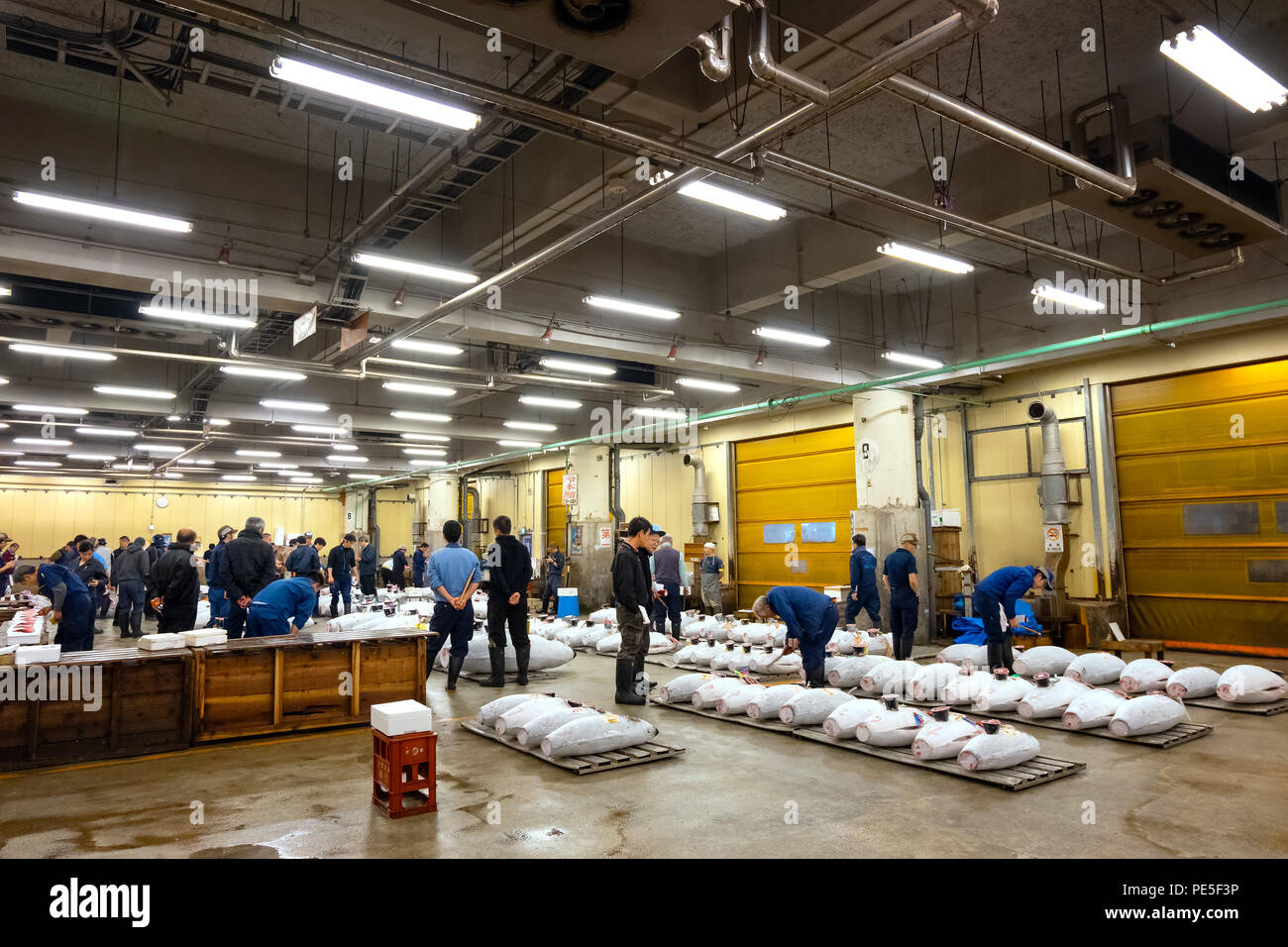 TOKYO, JAPAN - APRIL 26 2018: The auction at the inner area of Tsukiji ...