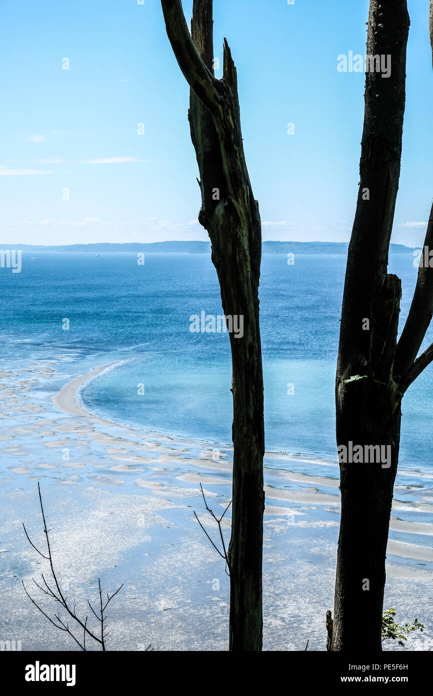 Exposed beach during low tide seen through two bare tree trunks Stock ...