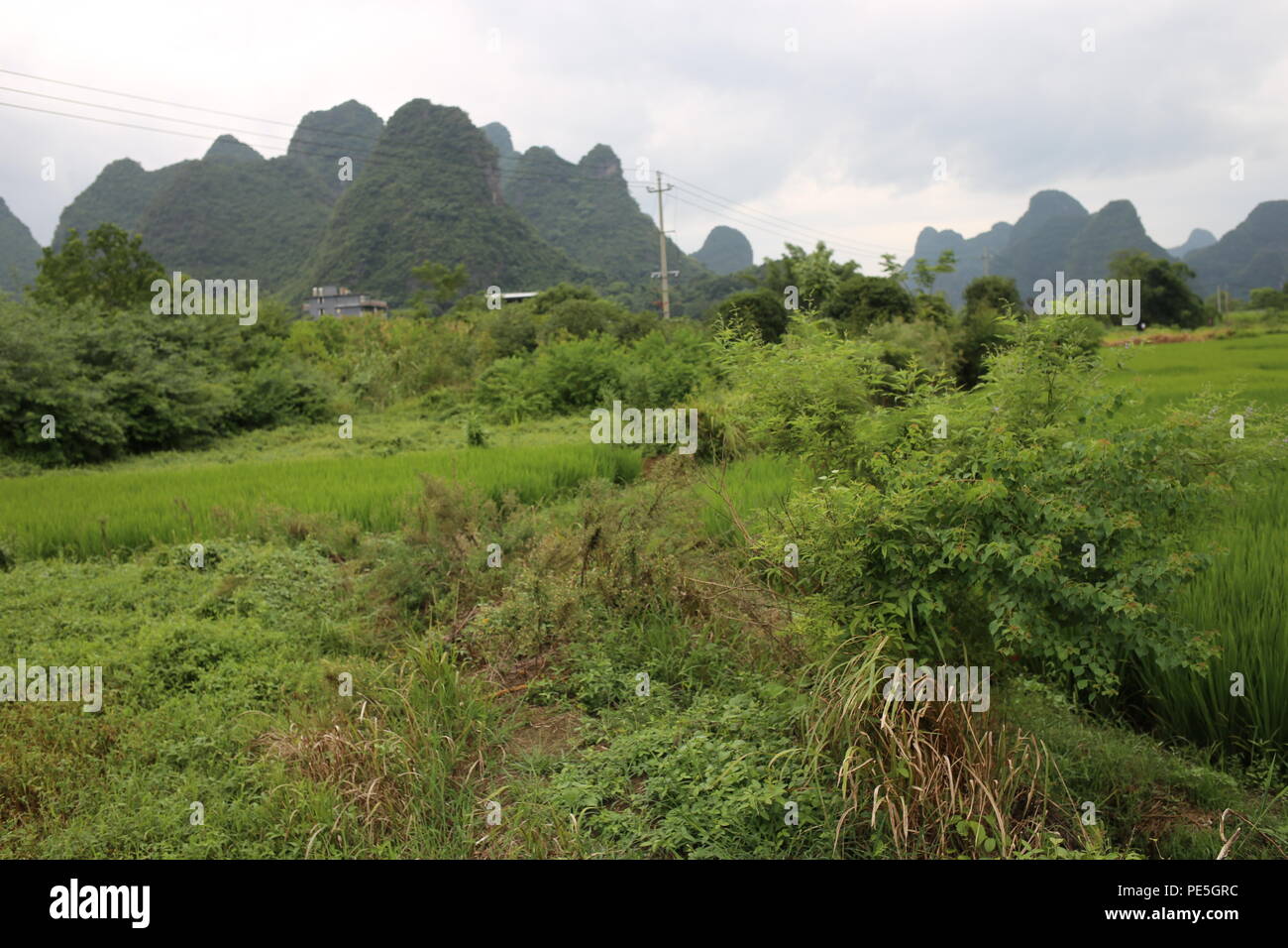 Landscape of Yangshuo, China Stock Photo - Alamy
