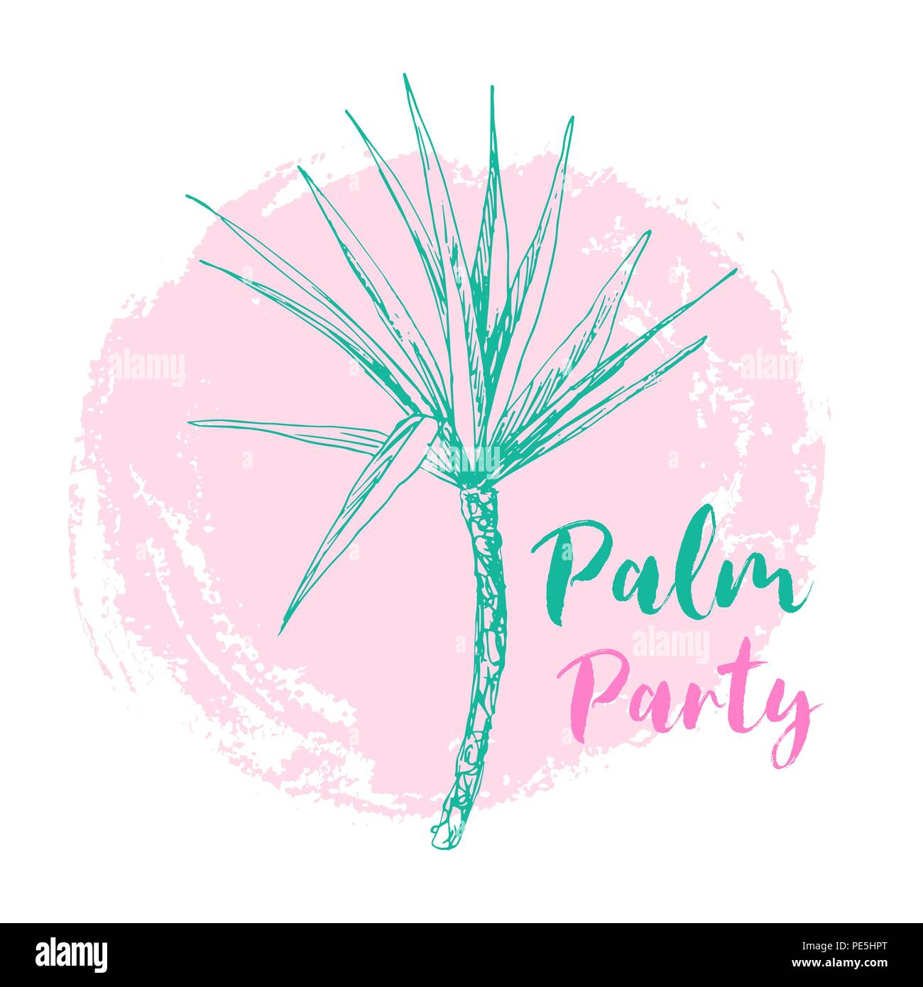 Isolated coconut or queen palm tree with leaves. Beach and rainforest ...