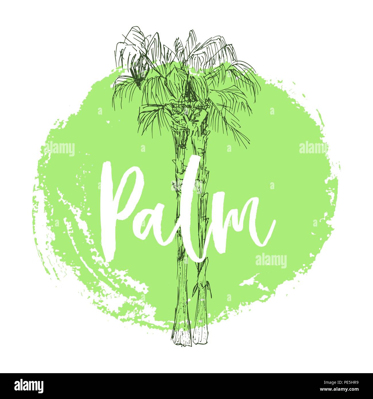 Tropical rainforest green tree leaves Cut Out Stock Images & Pictures ...