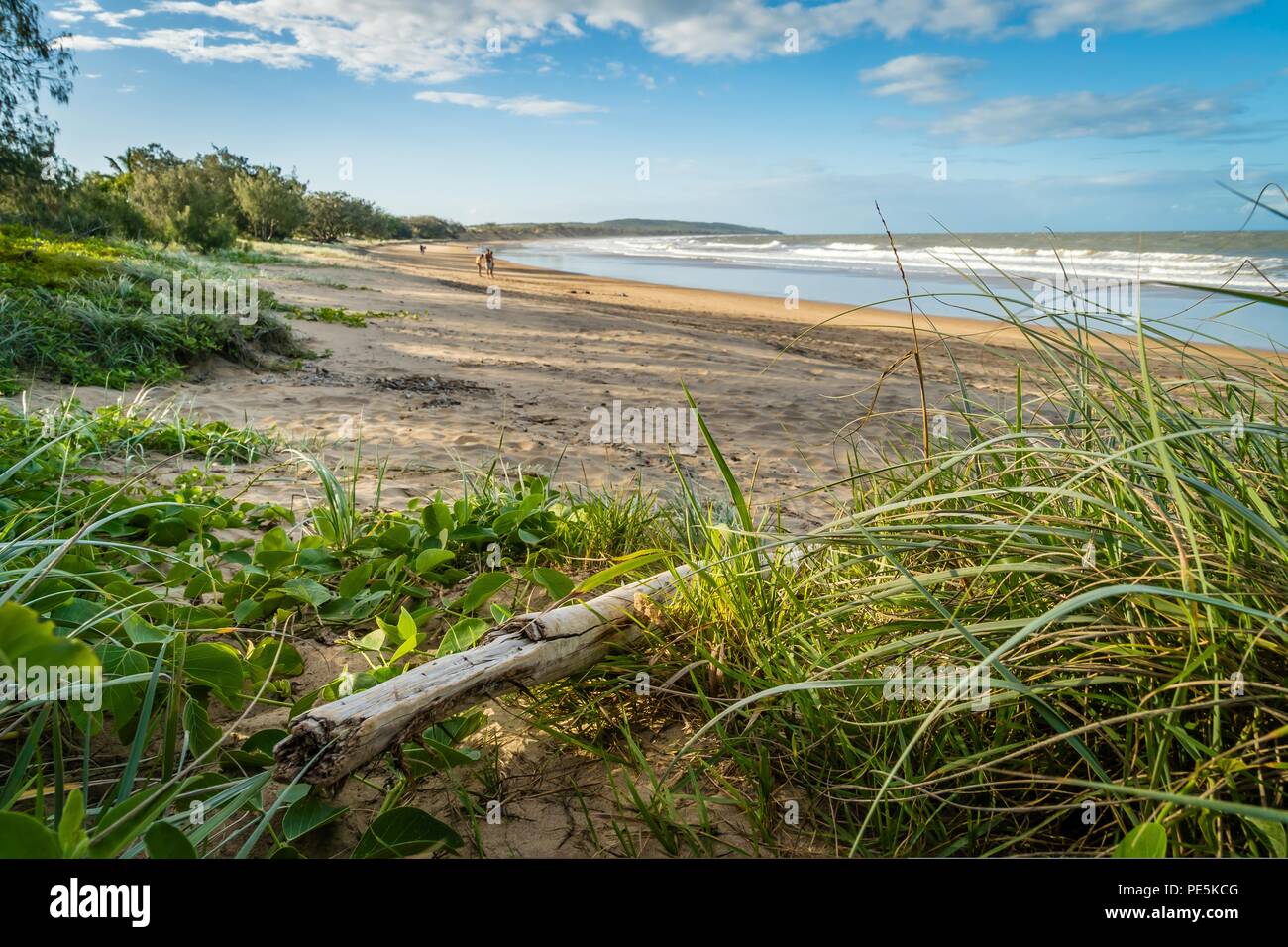 Agnes water, australia hi-res stock photography and images - Alamy