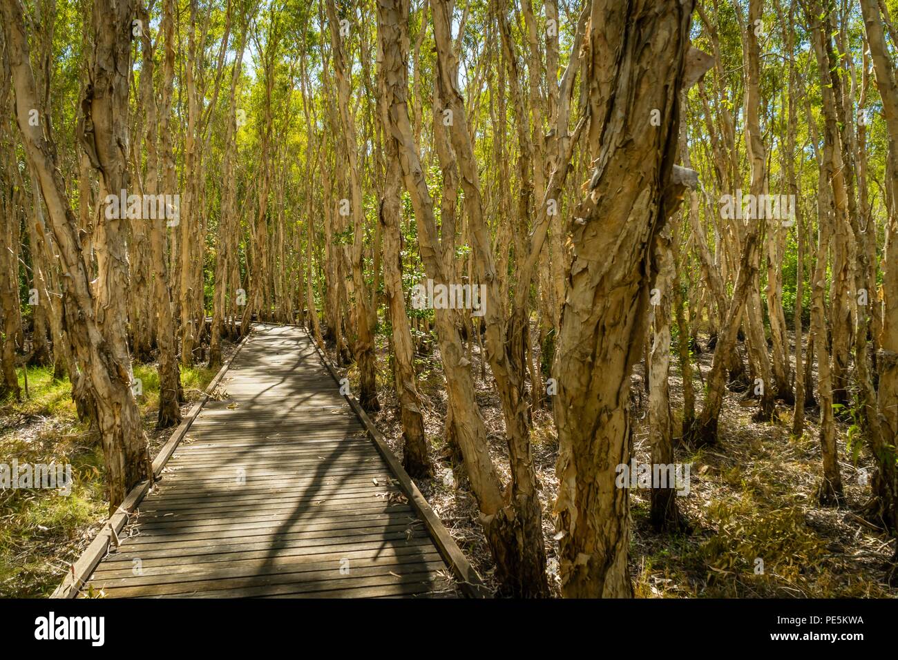 Mackay australia hi-res stock photography and images - Alamy