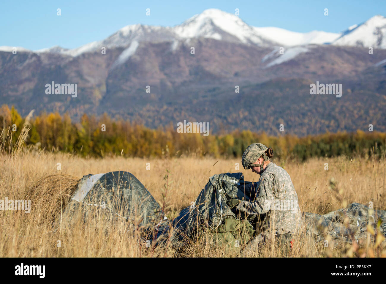 T 11 advanced tactical parachute system hi-res stock photography and ...