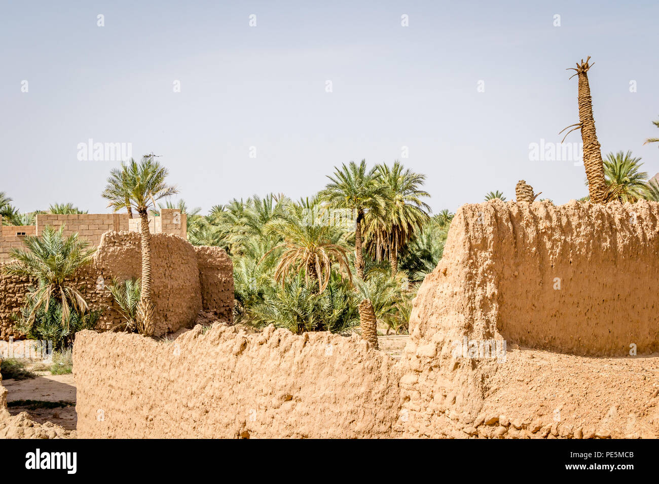 Figuig morocco oriental hi-res stock photography and images - Alamy