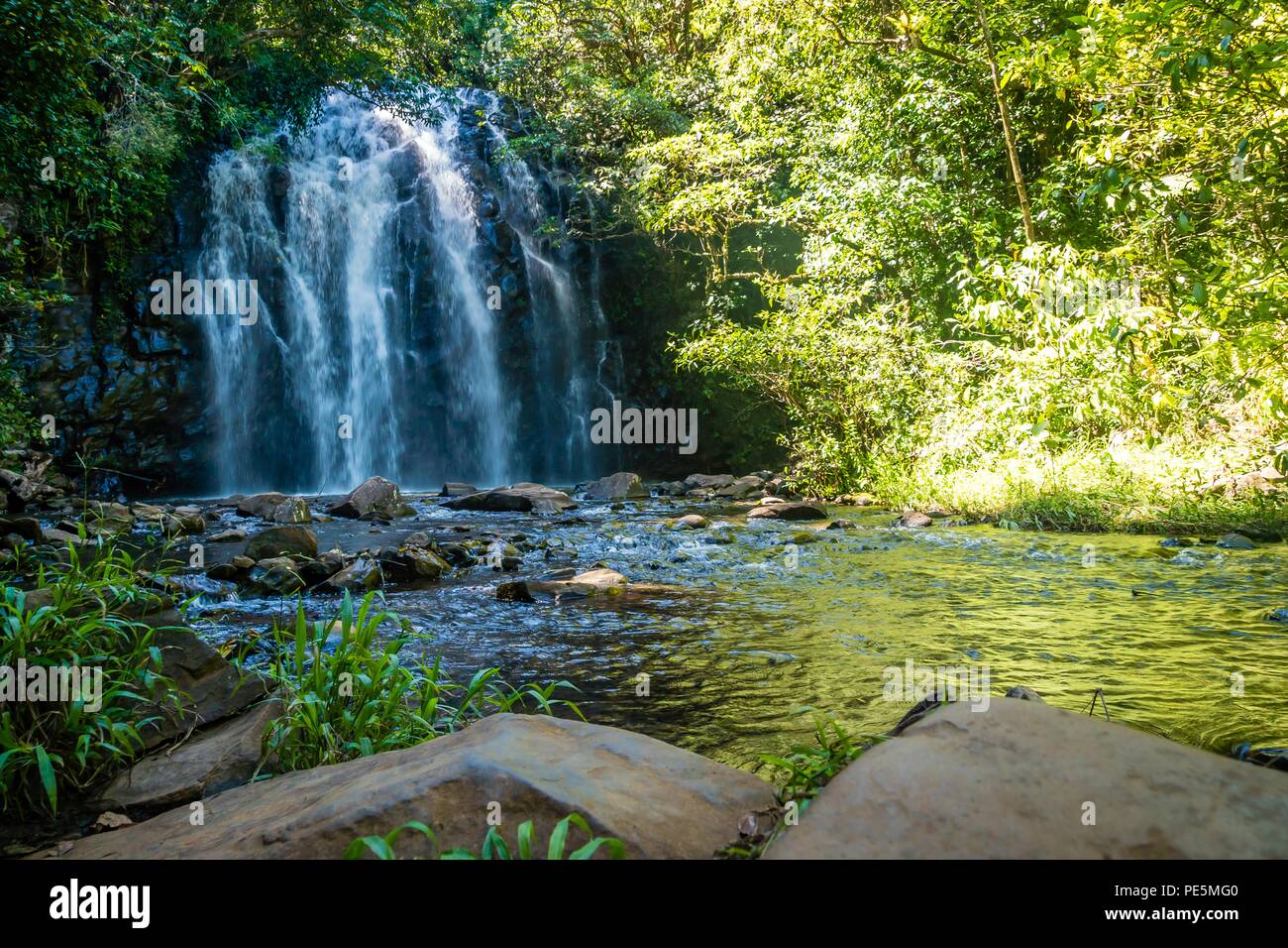 Ellinjaa Falls in the summer in Queensland, Australia Stock Photo - Alamy