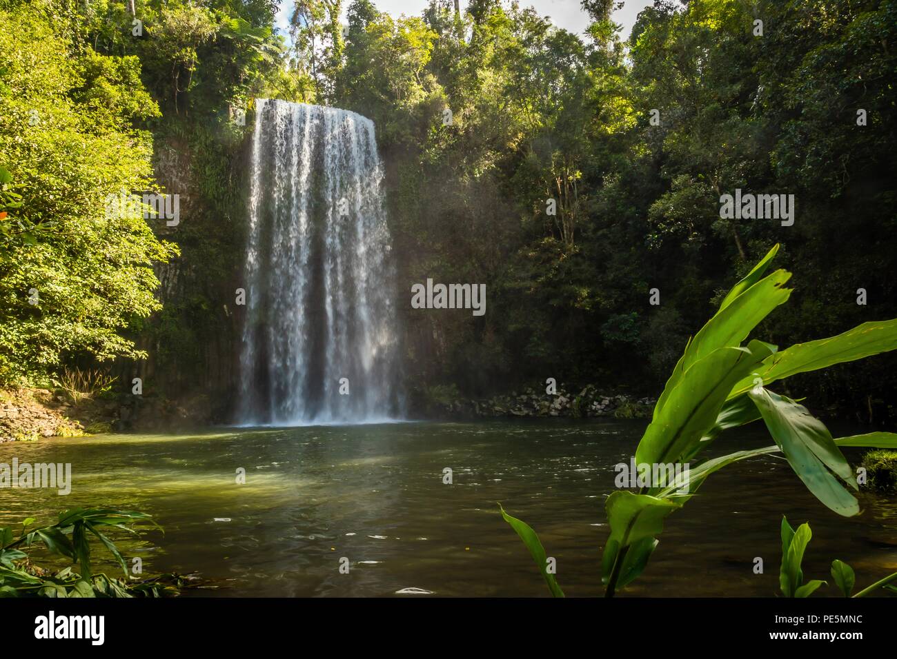 Millaa milla falls hi-res stock photography and images - Alamy