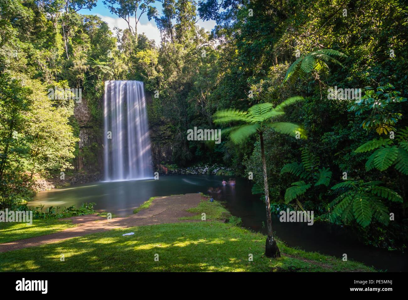 Millaa Milla Falls in the summer in Queensland, Australia, long ...