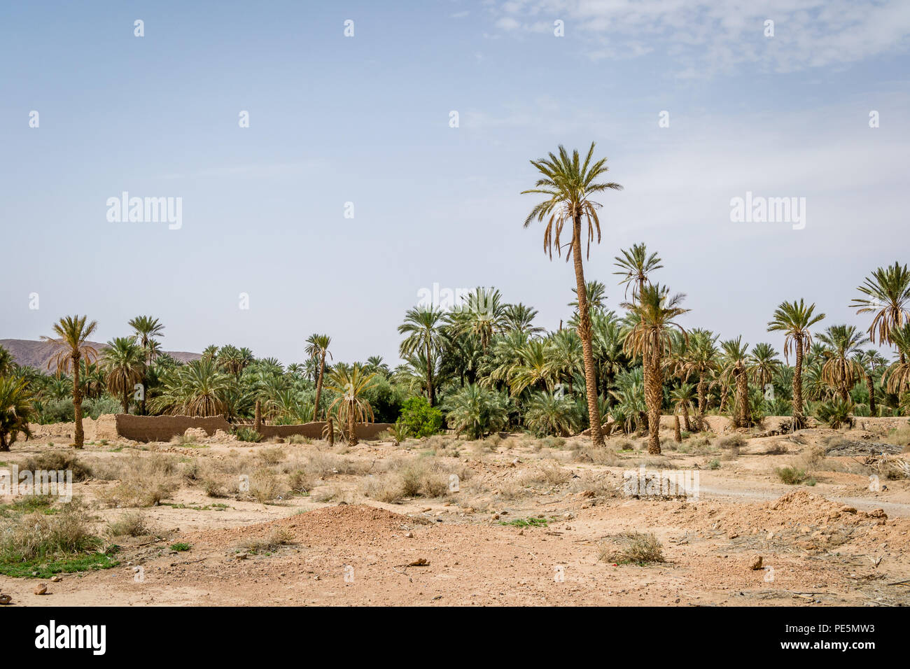 Figuig morocco oriental hi-res stock photography and images - Alamy
