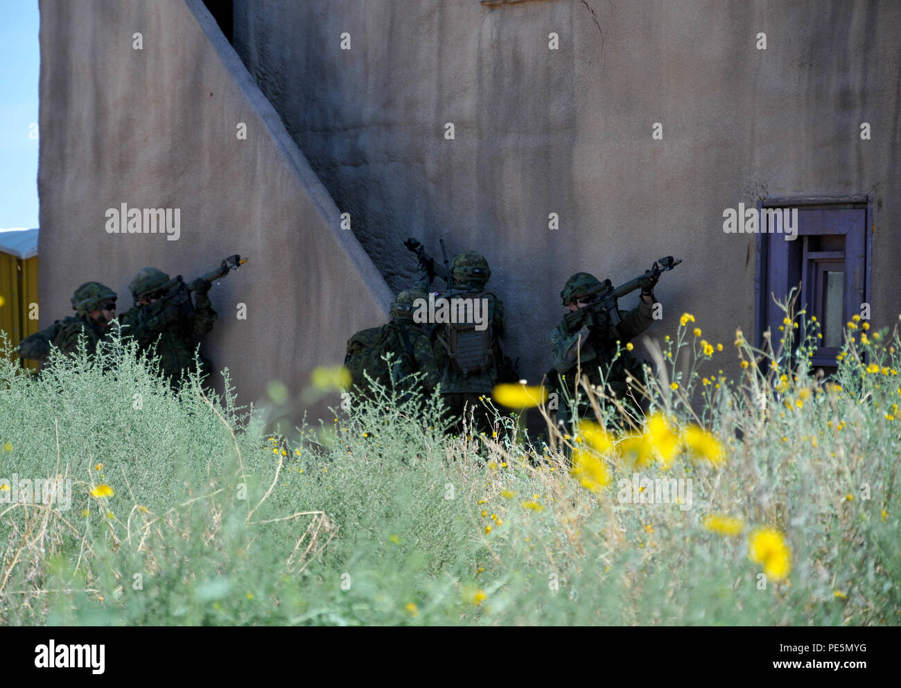 Regina rifles hi-res stock photography and images - Alamy