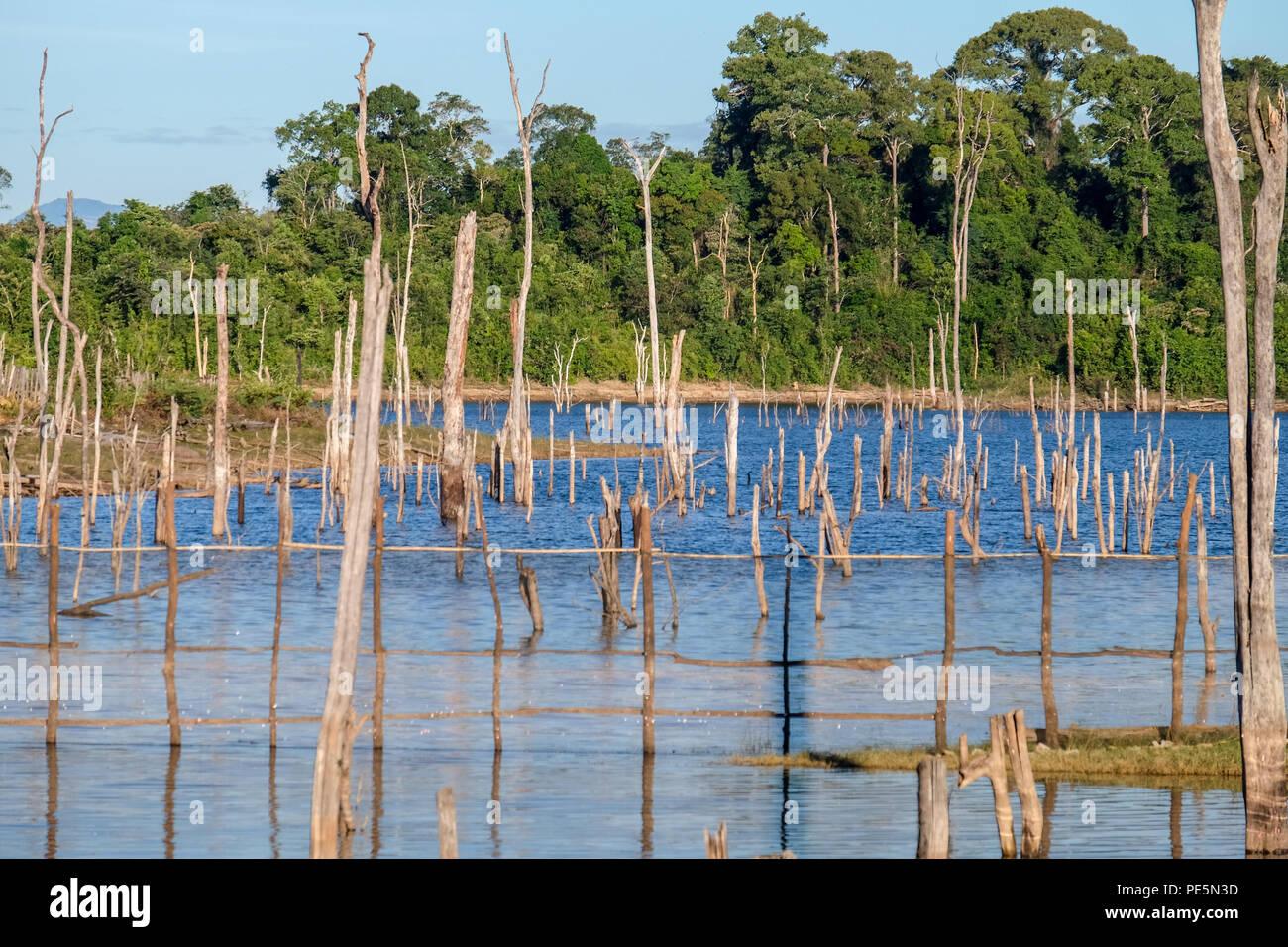 A view of a sea of dead trees on the 3,500 million cubic metre capacity ...