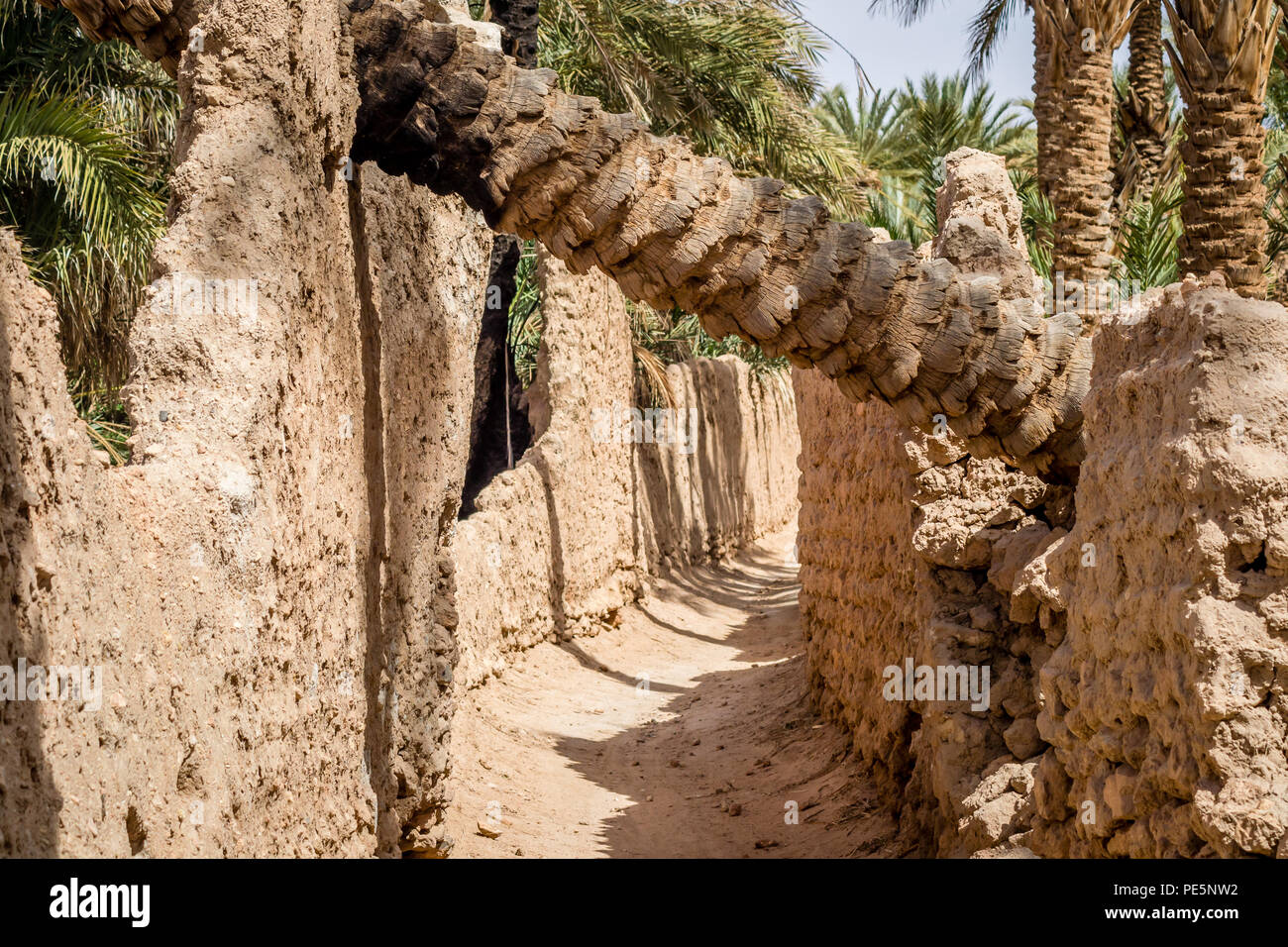 Figuig morocco oriental hi-res stock photography and images - Alamy