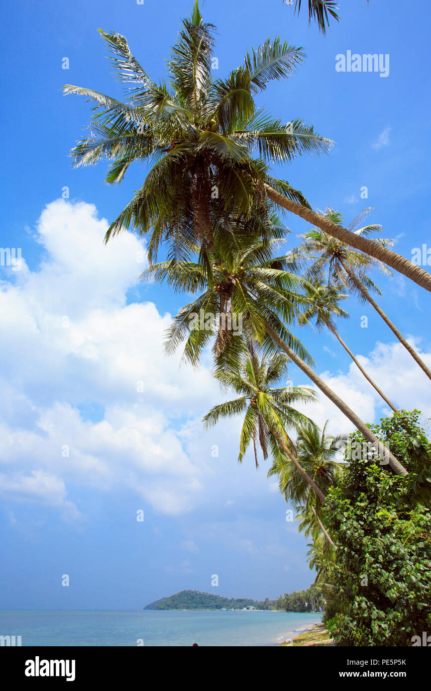 Untouched tropical landscape of Thailand Stock Photo - Alamy