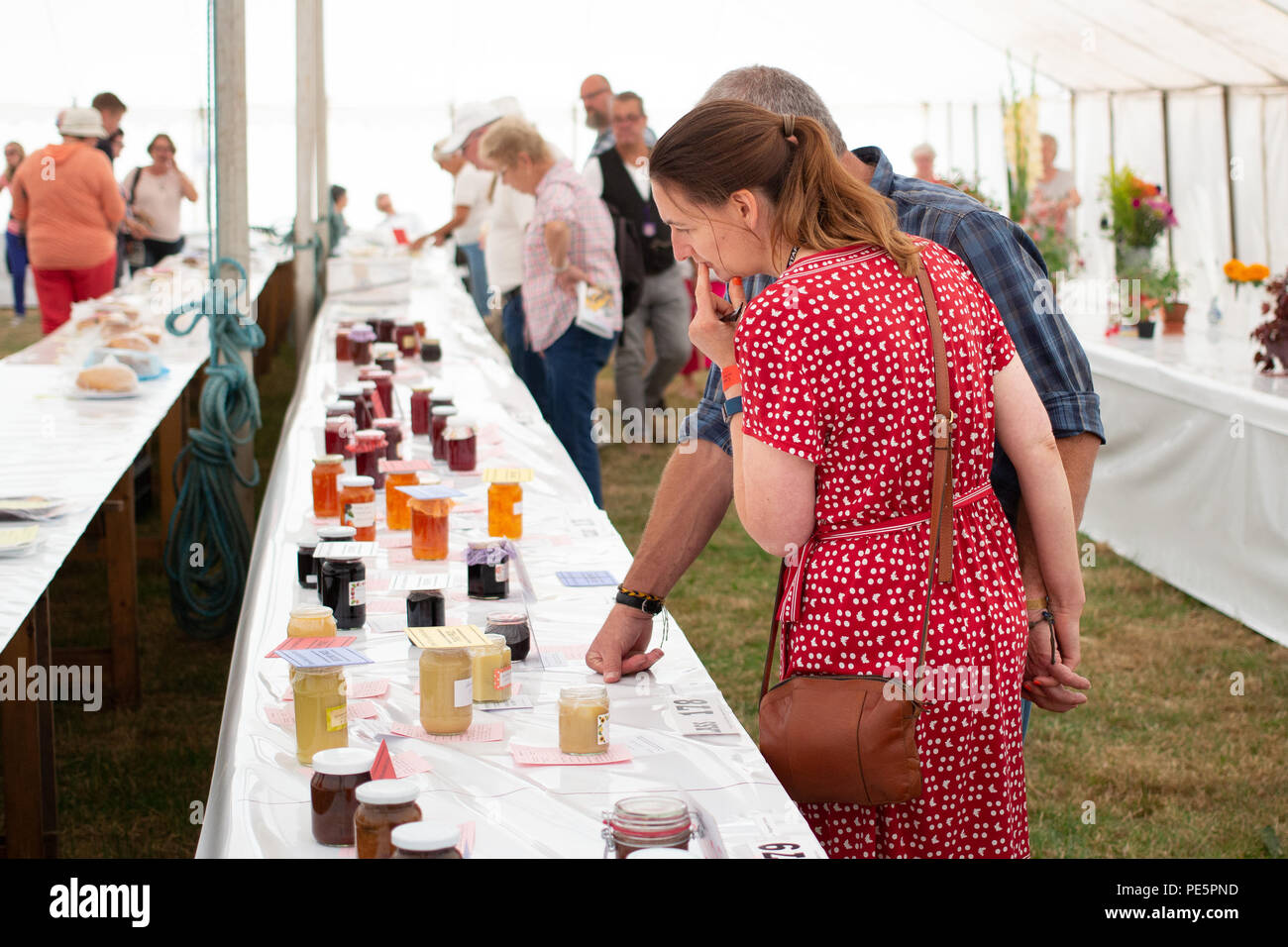 Visitors to the Canwell country show looking at some of the prize ...