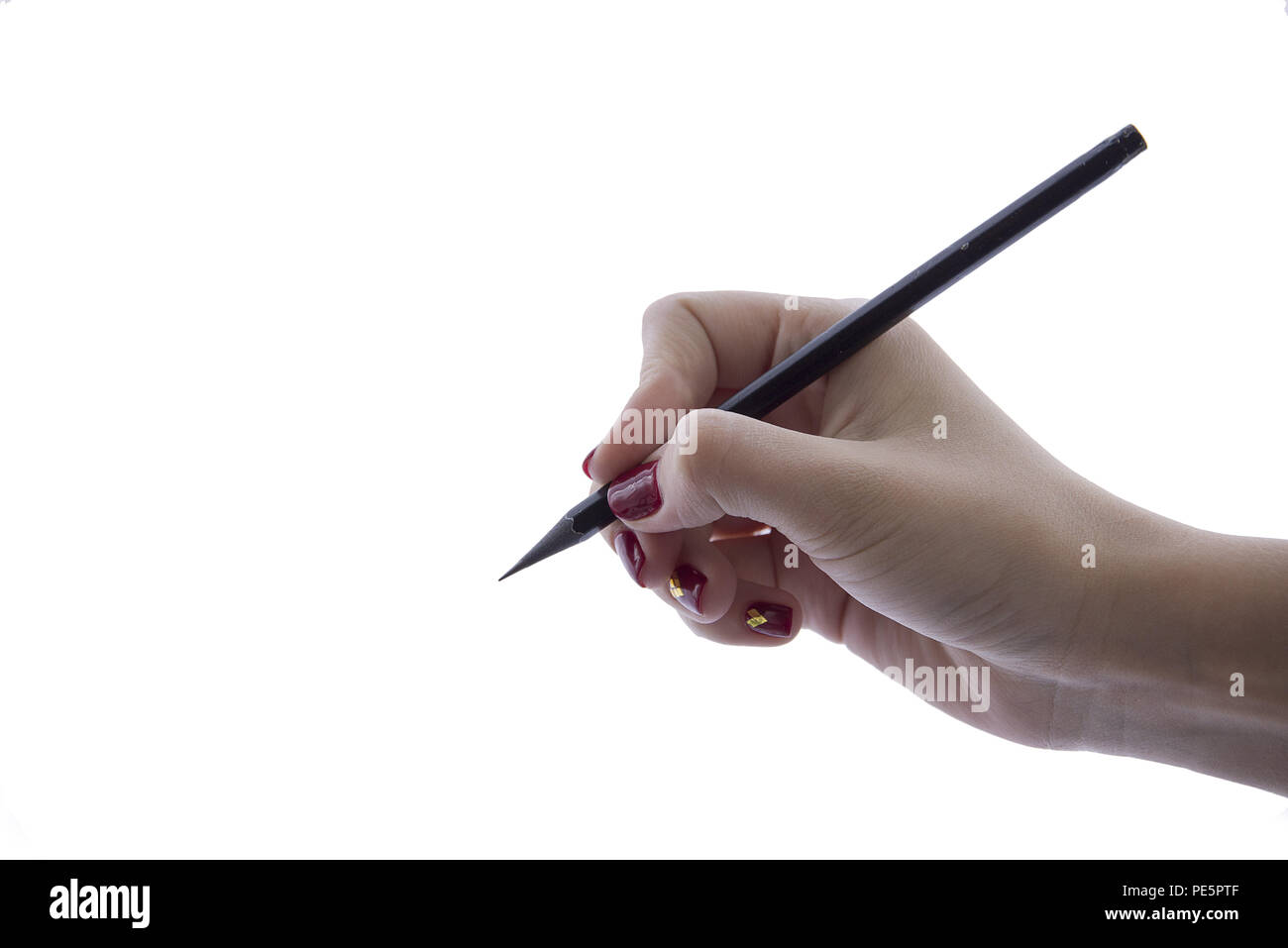 hand holding a pencil on a white background closeup Stock Photo - Alamy