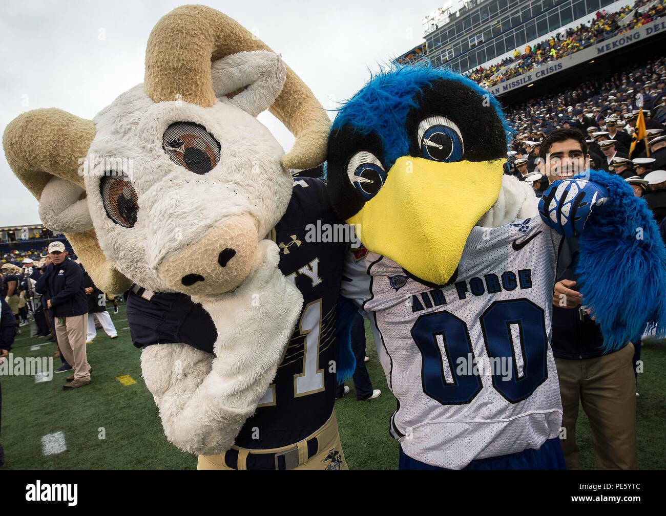 Air Force Academy Falcons mascot The Bird meets with Naval Academy ...