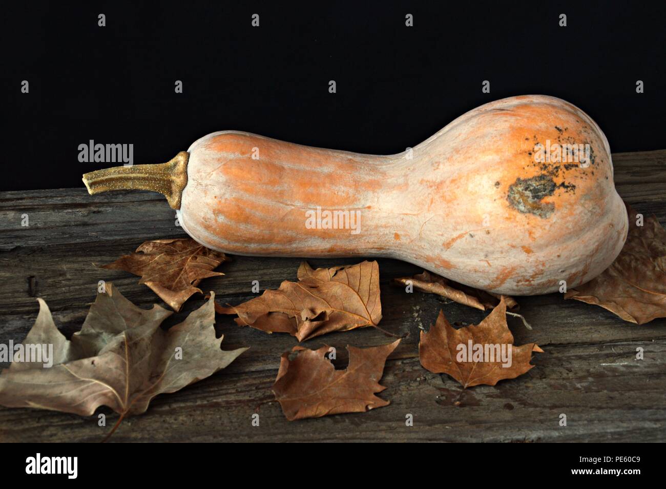 pumpkin lying on wooden floor Stock Photo - Alamy