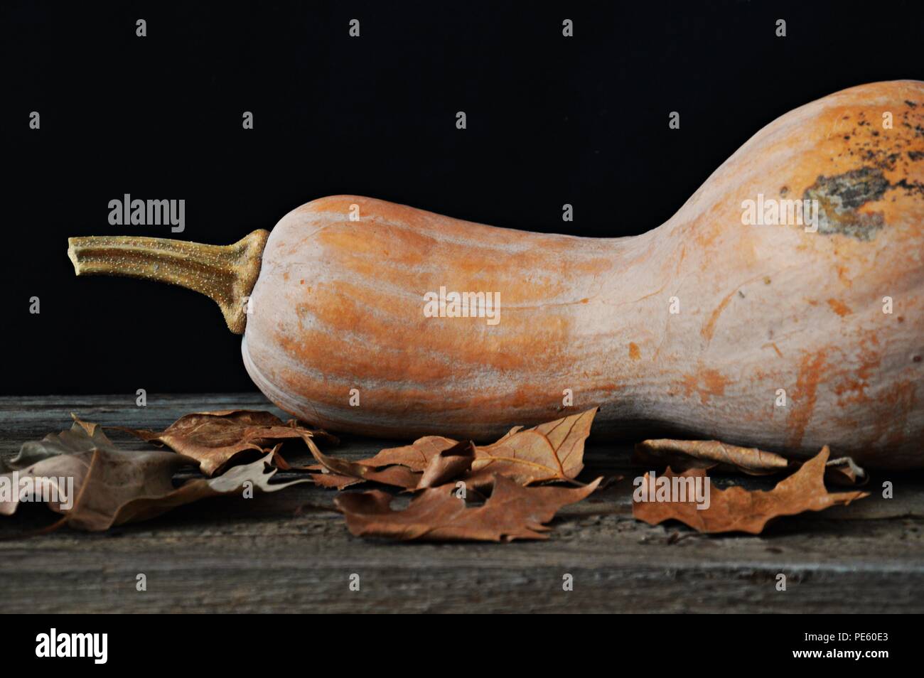 pumpkin lying on wooden floor Stock Photo - Alamy