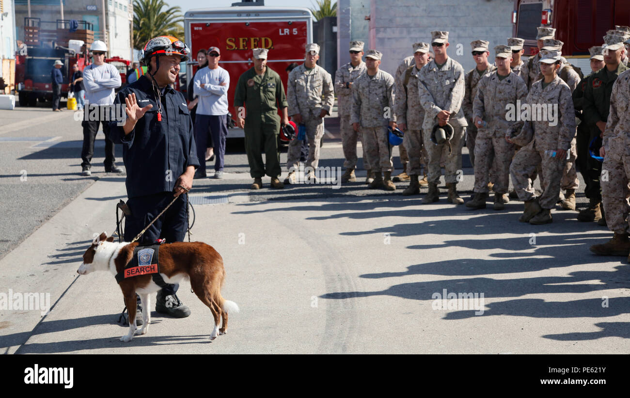 Capt. Peter Gross, an urban search and rescue dog handler with the San ...