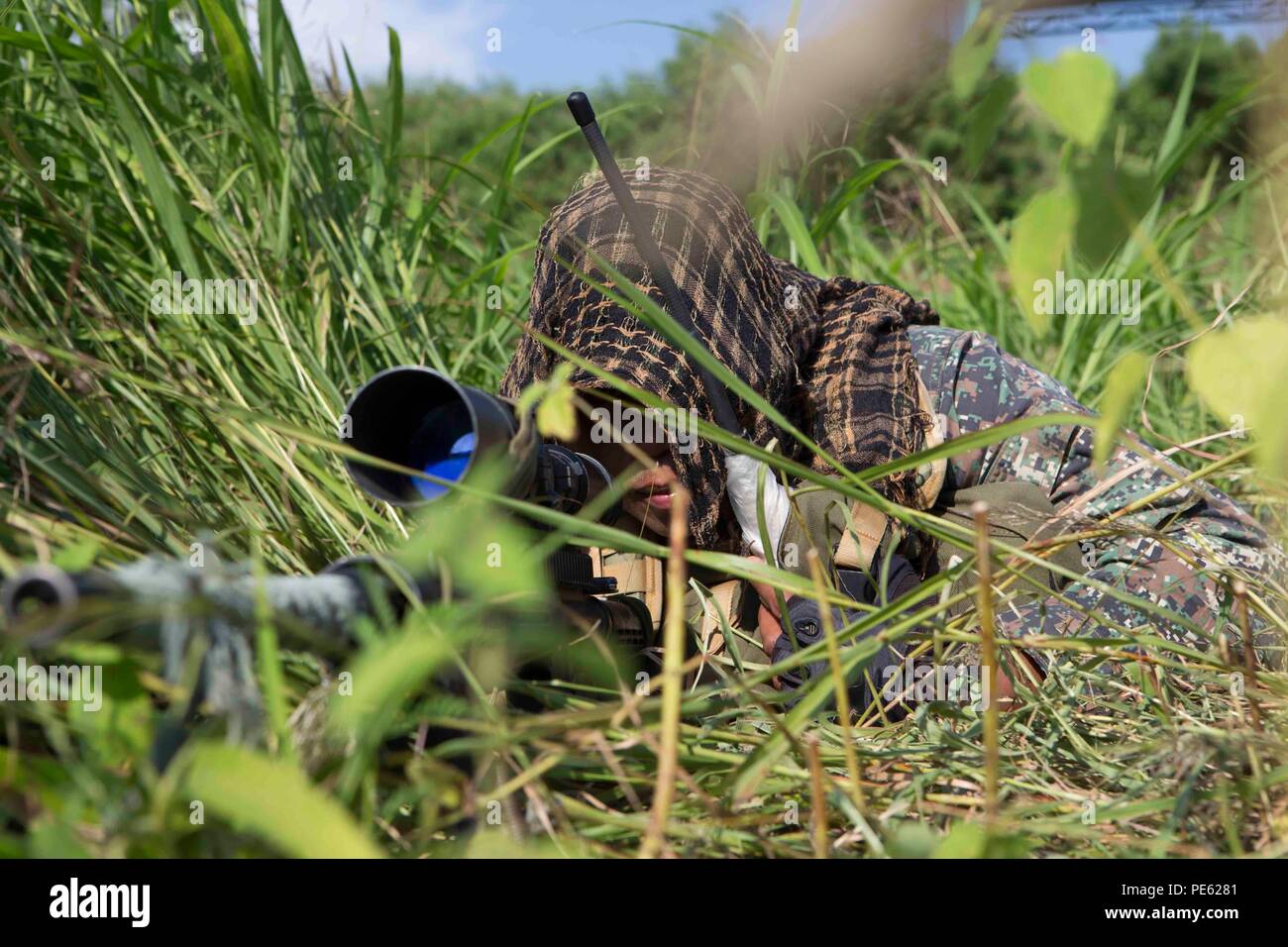 L 15 scout hi-res stock photography and images - Alamy