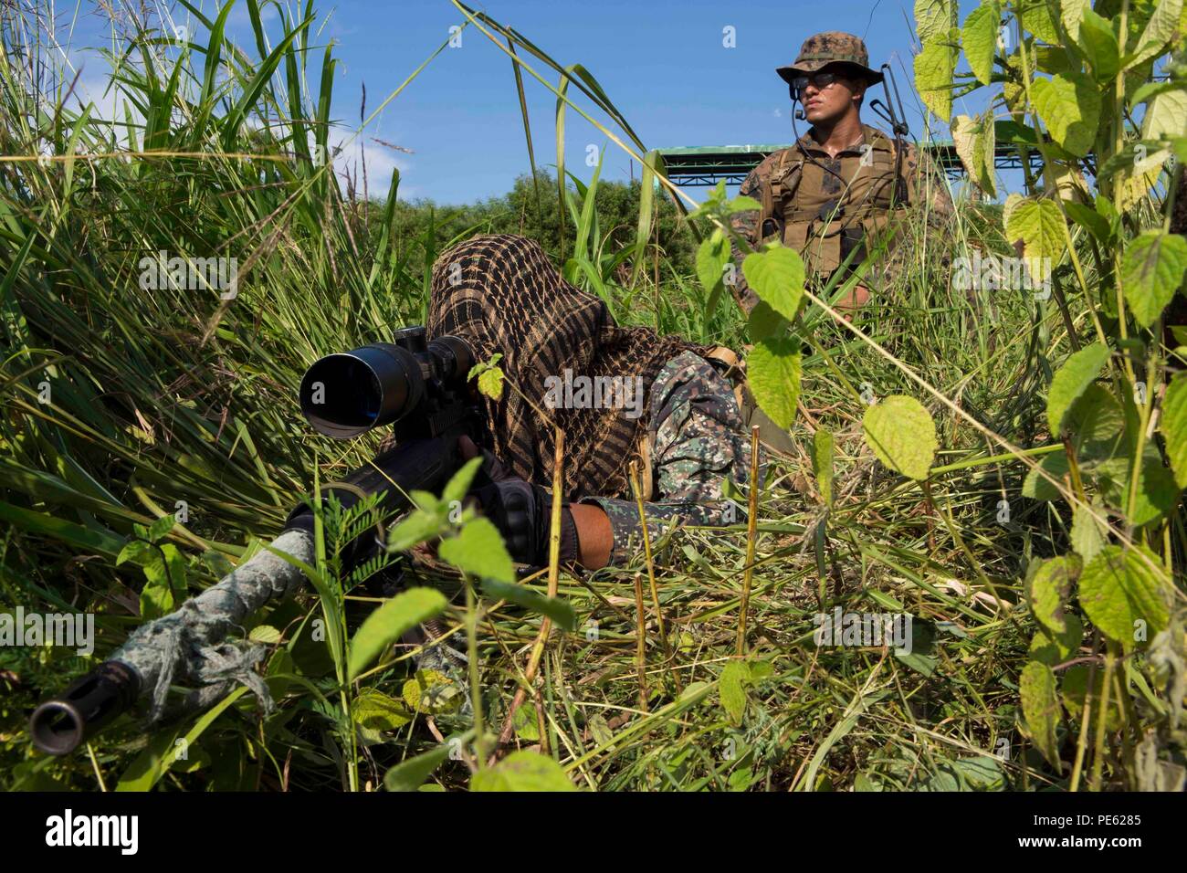 L 15 scout hi-res stock photography and images - Alamy