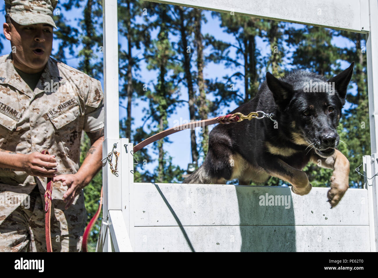 Mwd section hi-res stock photography and images - Alamy