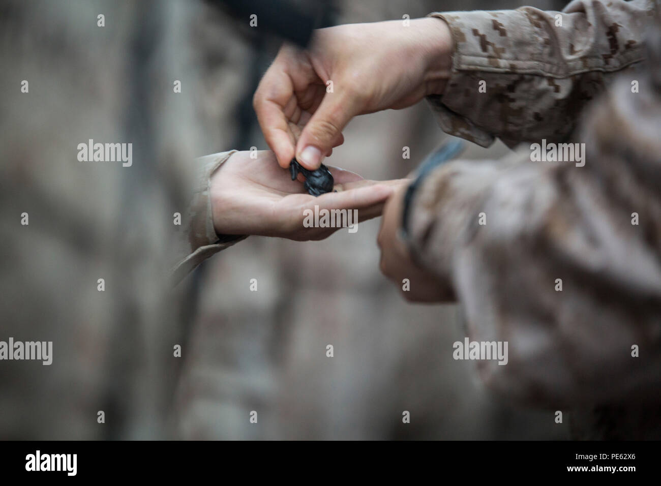 United states marine core emblem hi-res stock photography and images ...