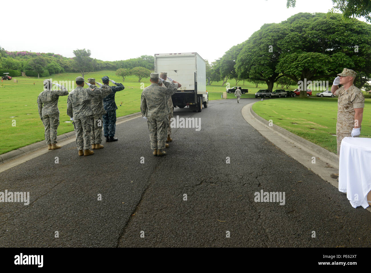 Detailed members of the Department of Defense POW/MIA Accounting Agency ...