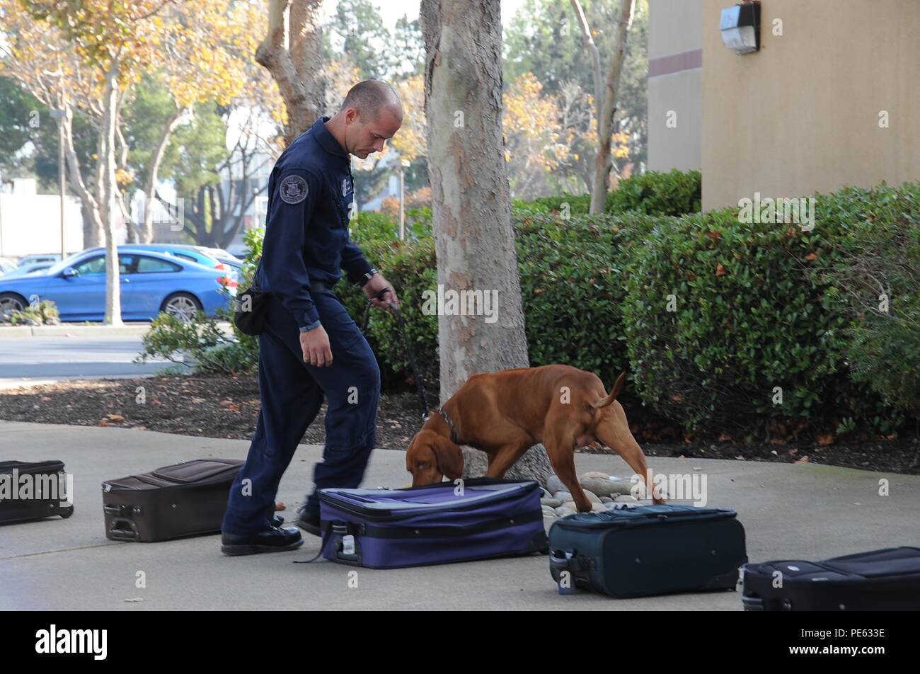 Petty Officer 2nd Class Cory Sumner guides Feco, a bomb-detection dog ...