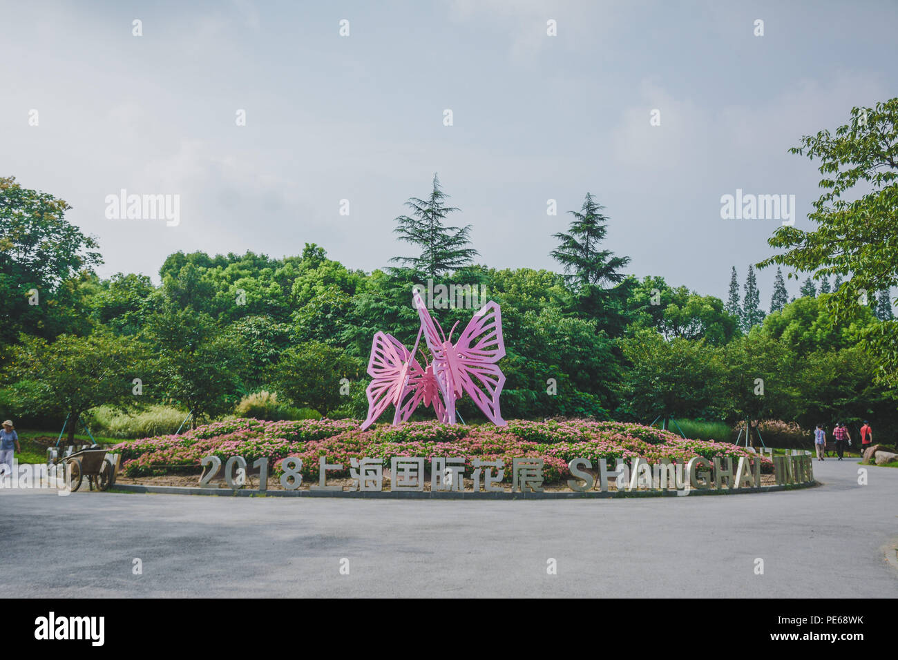 Shanghai, Shanghai, China. 13th Aug, 2018. Shanghai, CHINA-Flowers ...