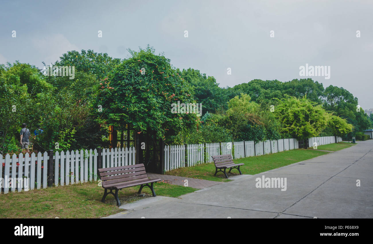 Shanghai, Shanghai, China. 13th Aug, 2018. Shanghai, CHINA-Flowers ...