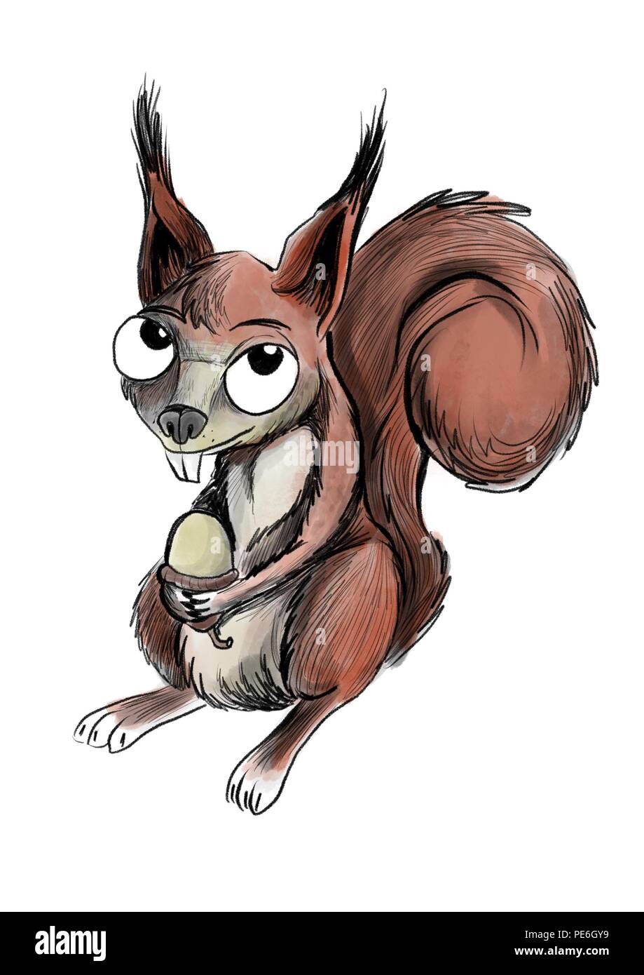 illustration of a squirrel Stock Photo - Alamy