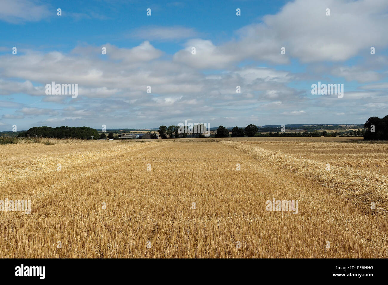 Agriculyure hi-res stock photography and images - Alamy