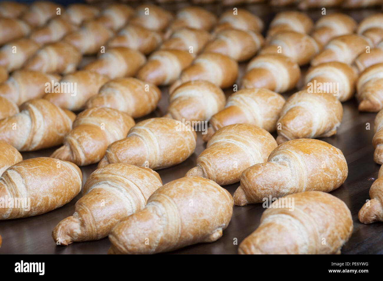 Baked croissants group on the production line Stock Photo - Alamy